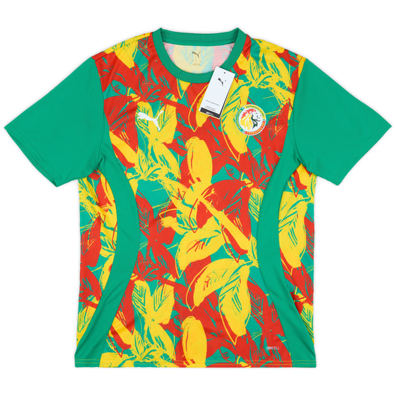 Senegal Jerseys | Classic Retro Vintage Senegal Kits & Puma 2024 Kits